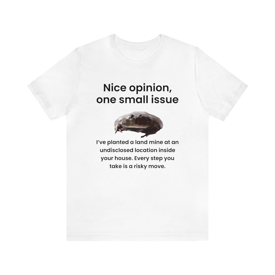 Nice Opinion, One Small Issue, Frog Meme Shirt, Oddly Specific Shirt, Weird Shirt, Shirt That Go ...