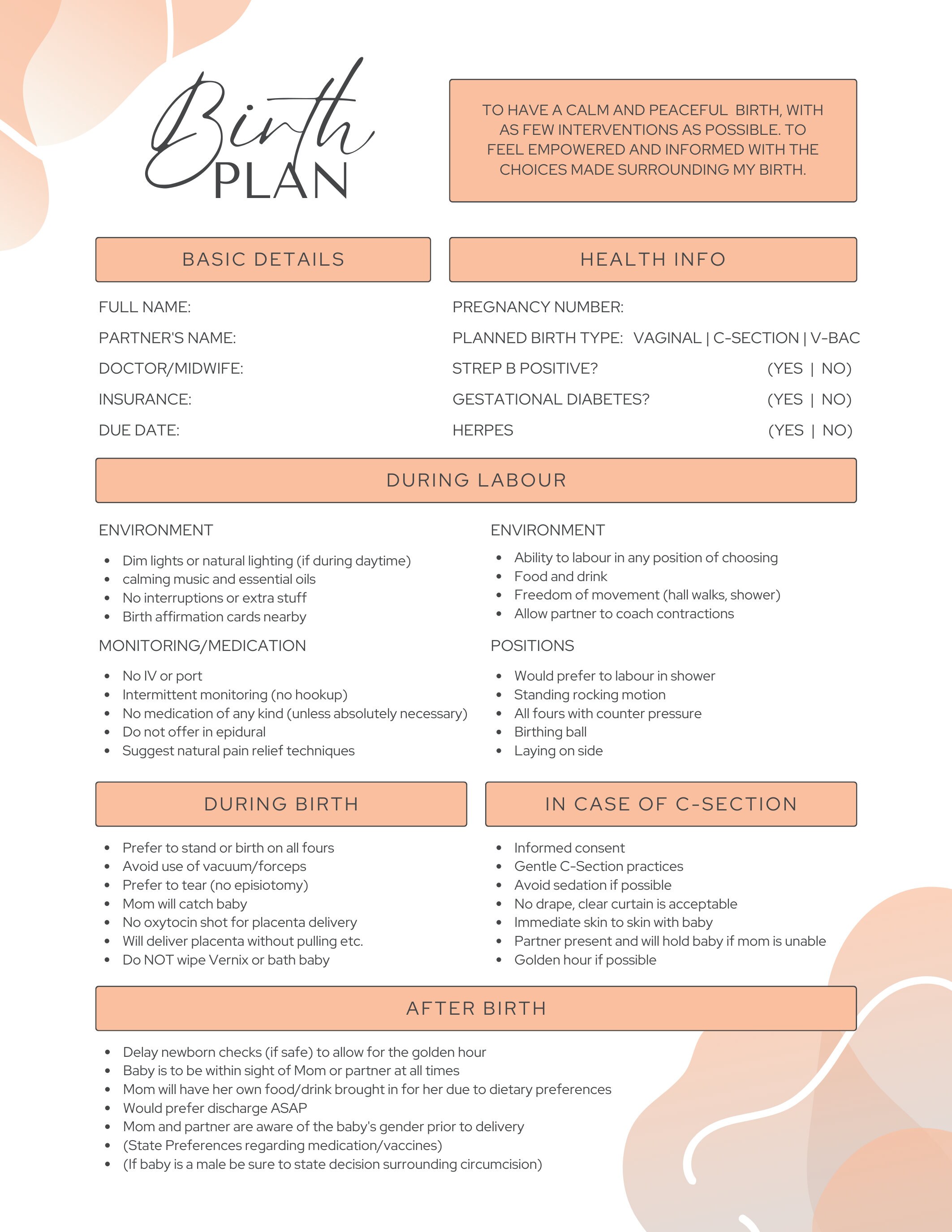 Birth Plan Template | Birth Plan Printable | Natural Birth Plan ...