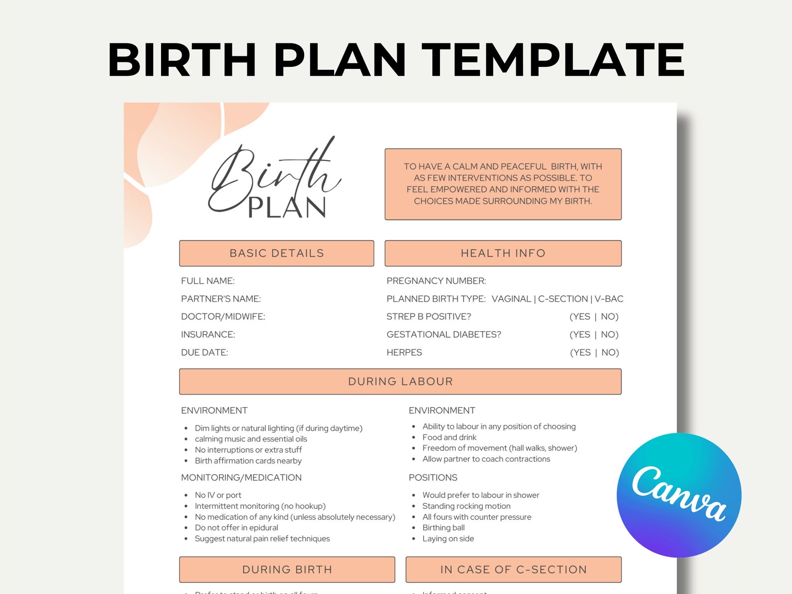 Birth Plan Template | Birth Plan Printable | Natural Birth Plan ...