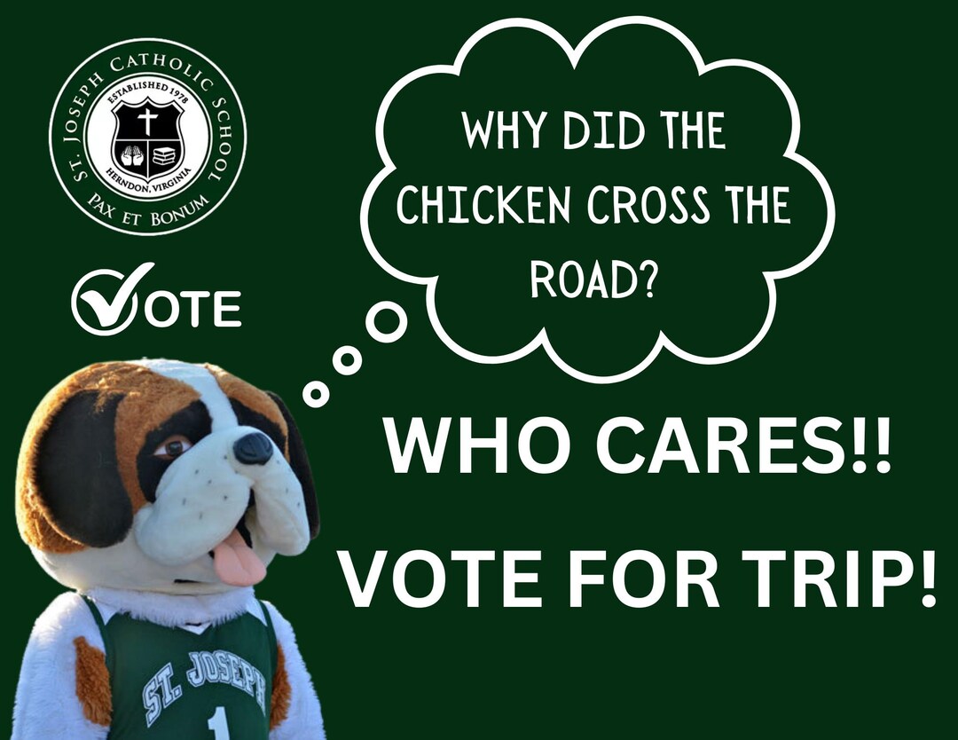 CUSTOM Order, Vote Signs, Student Elections, Student Council ...