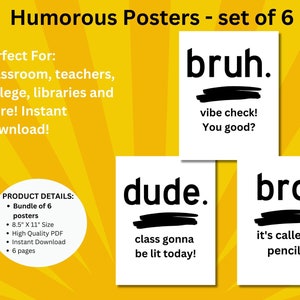 Bro, Bruh, Dude Classroom Posters, Educational Humor, Classroom Vibe ...