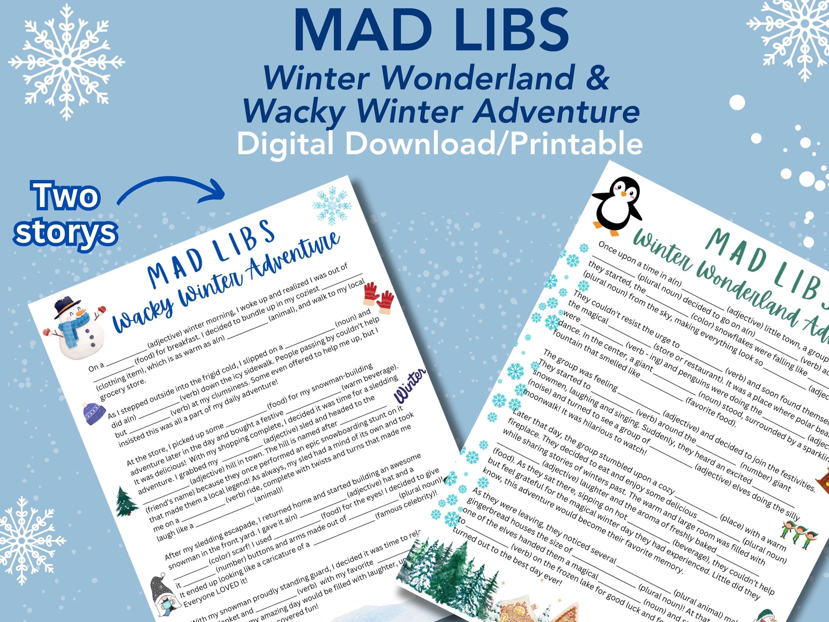 Winter-themed Mad Libs, Class Activity, Family Party, Group Game ...