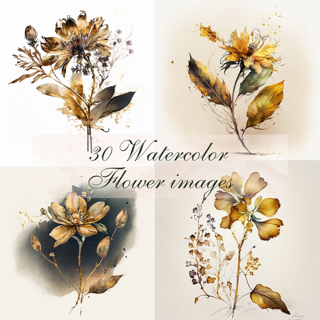 Wildflowers Watercolor Art Bundle, Botanical Clip Art, Watercolor Clip ...