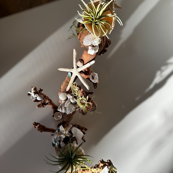 Beach Centerpiece - Etsy