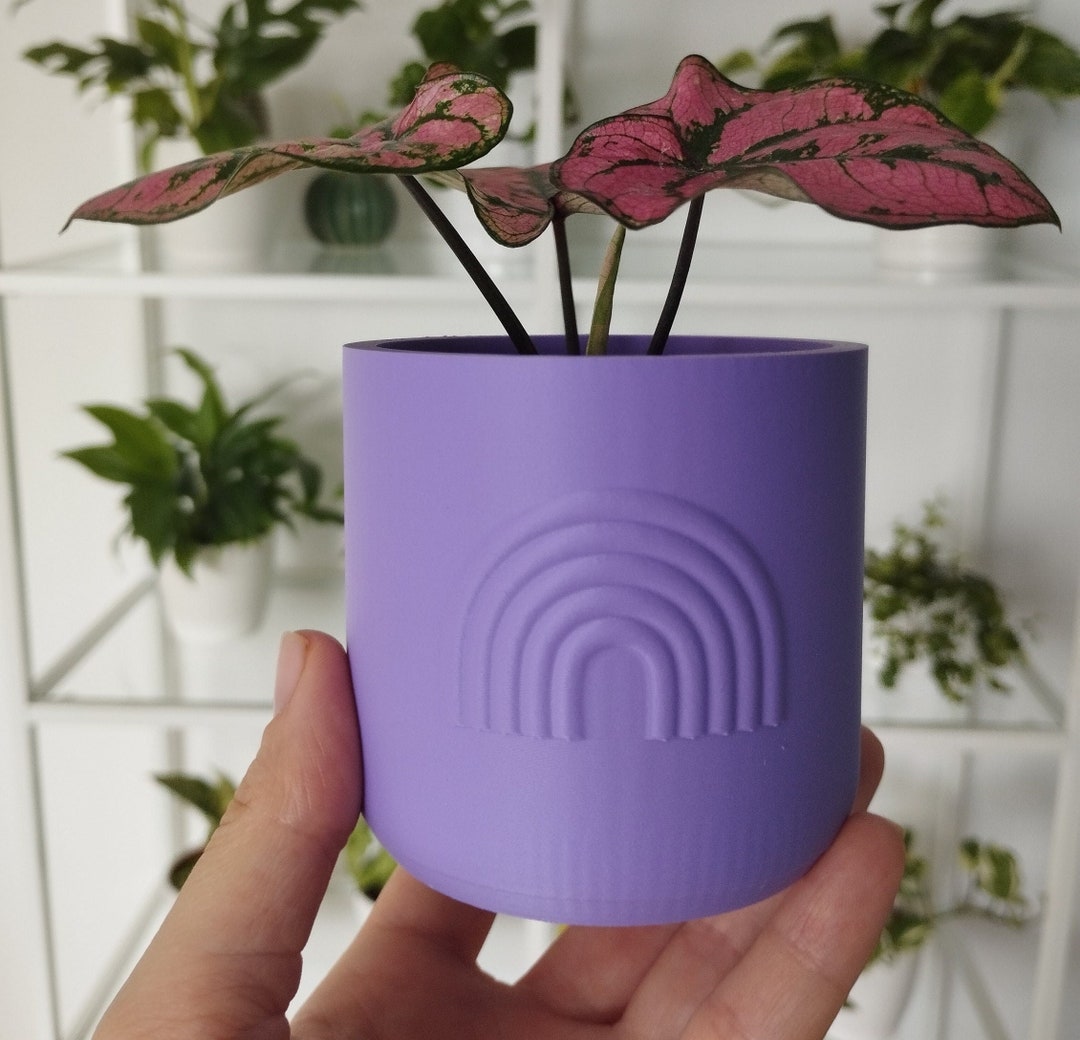 Rainbow PLA Planters Pot Planters Ecostyle Gift Present Birthday ...