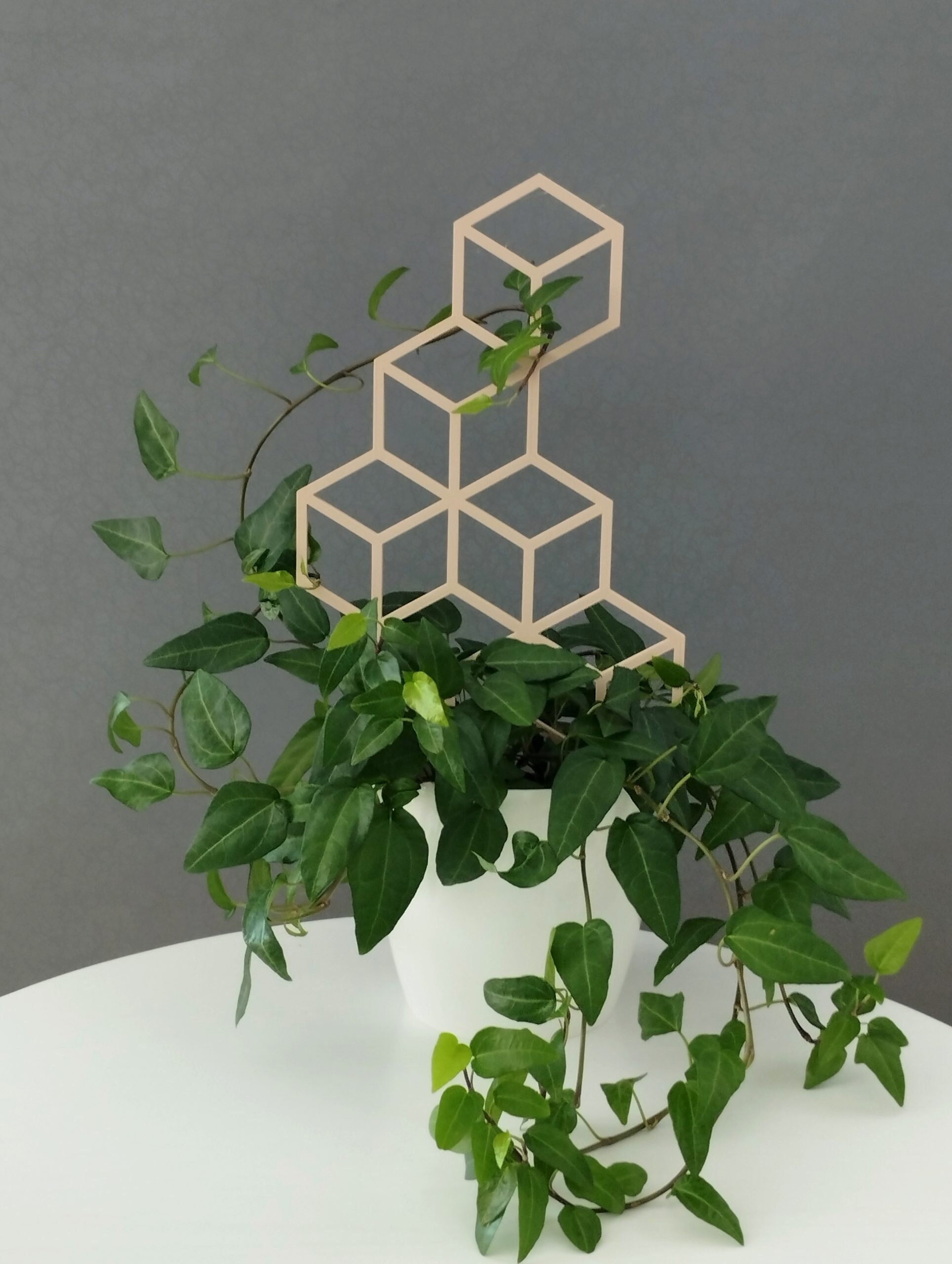 Cubo Trellis Beige/ Plant Trellis / 3d Printed / Honeycomb / Plant ...