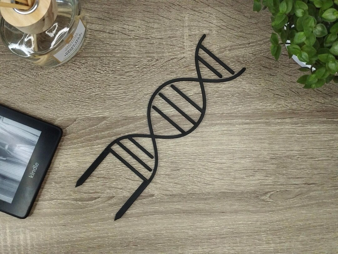 3D Printed DNA Trellis / Modern Plant Support for Monstera, Hoya ...