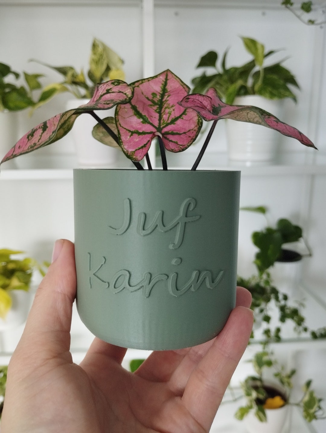 Customizable You Text PLA Planters Pot Ecostyle Gift Present Birthday ...