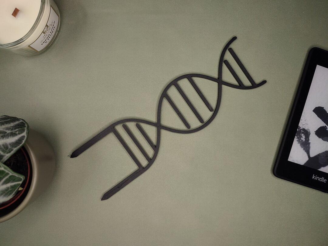 Dna Trellis / Plant Trellis / 3d Printed / Dna / Plant Frame / Plant ...