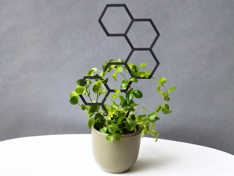 Hexagon Plant Trellis 3D Printed Support for Indoor Climbers, Modern ...