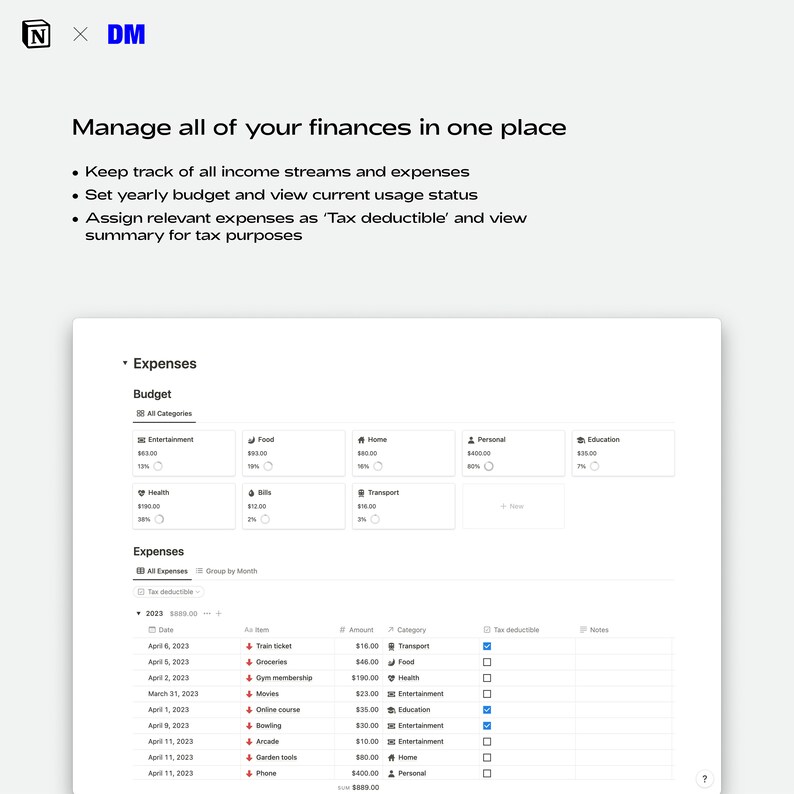 Notion Finance Manager Template - Etsy