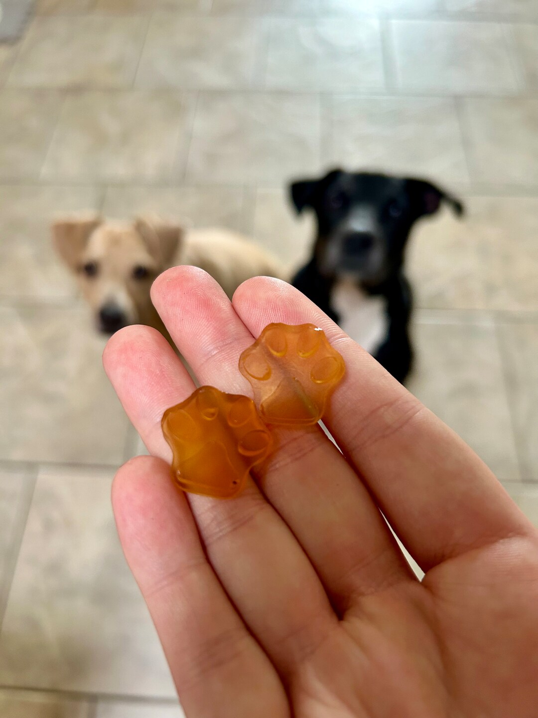 Beef Gummies Doggy Gummies - Etsy