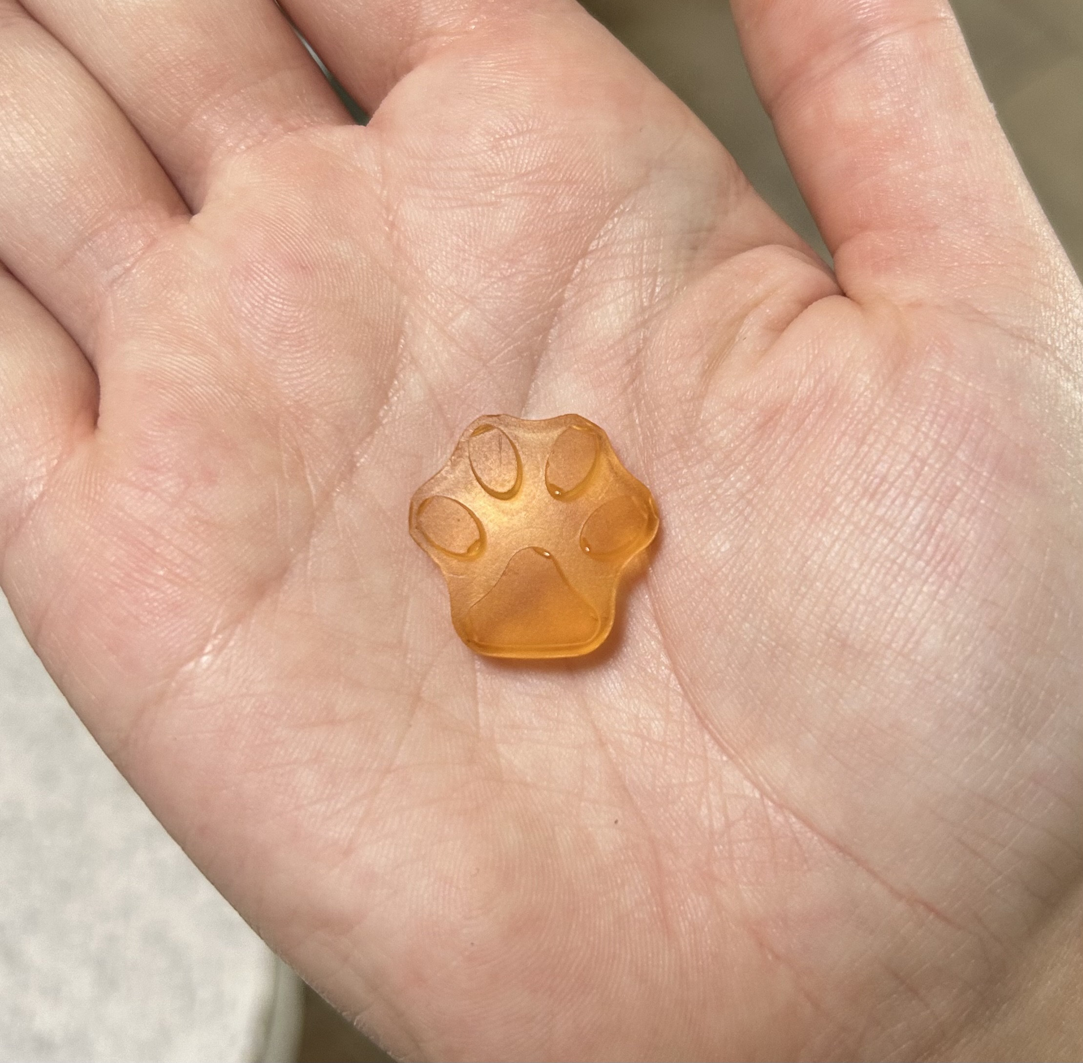 Beef Gummies Doggy Gummies - Etsy