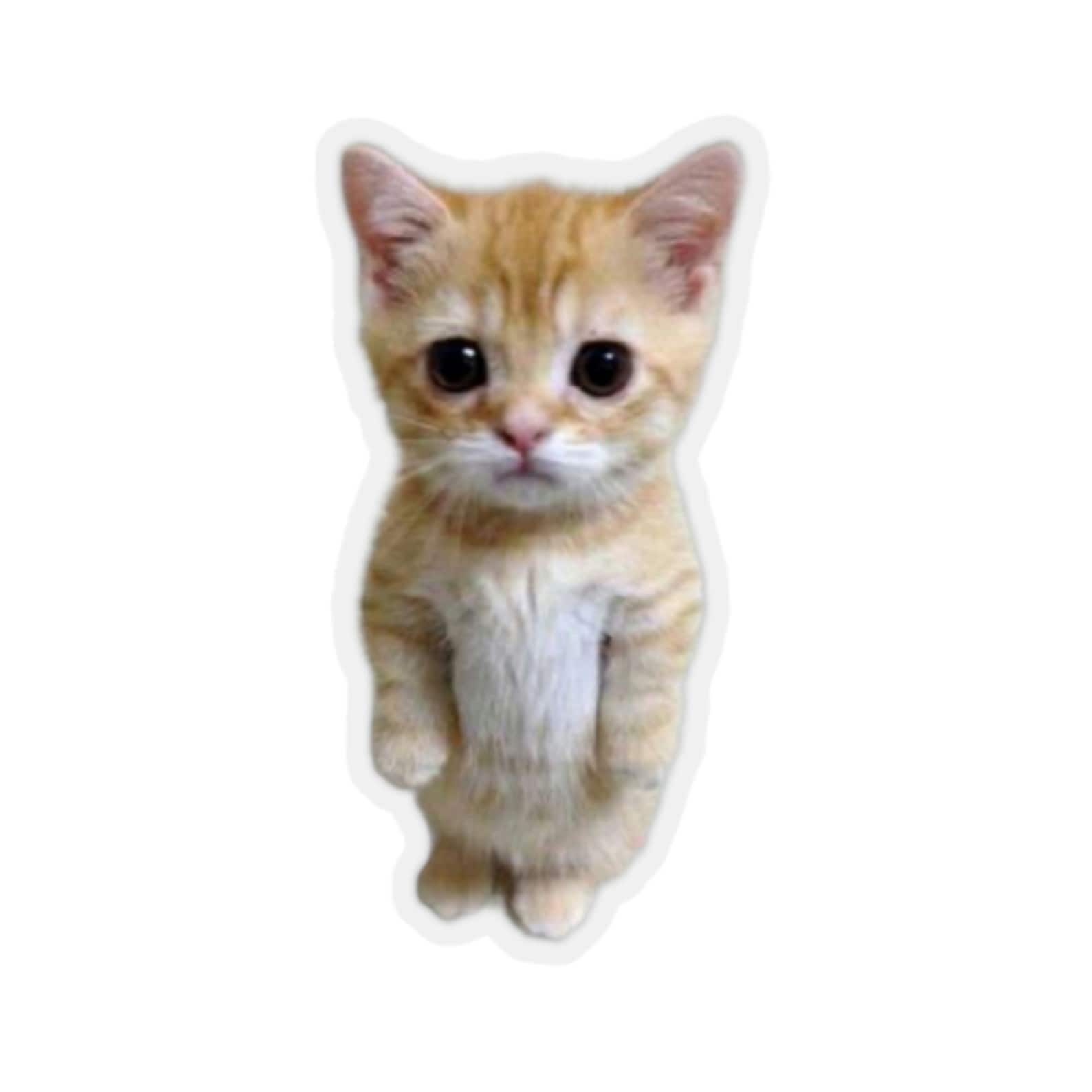 El Gato Sticker - Etsy