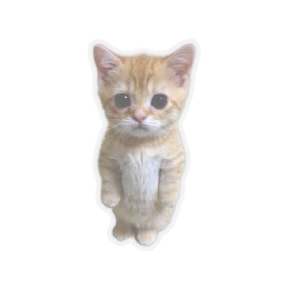 El Gato Sticker - Etsy