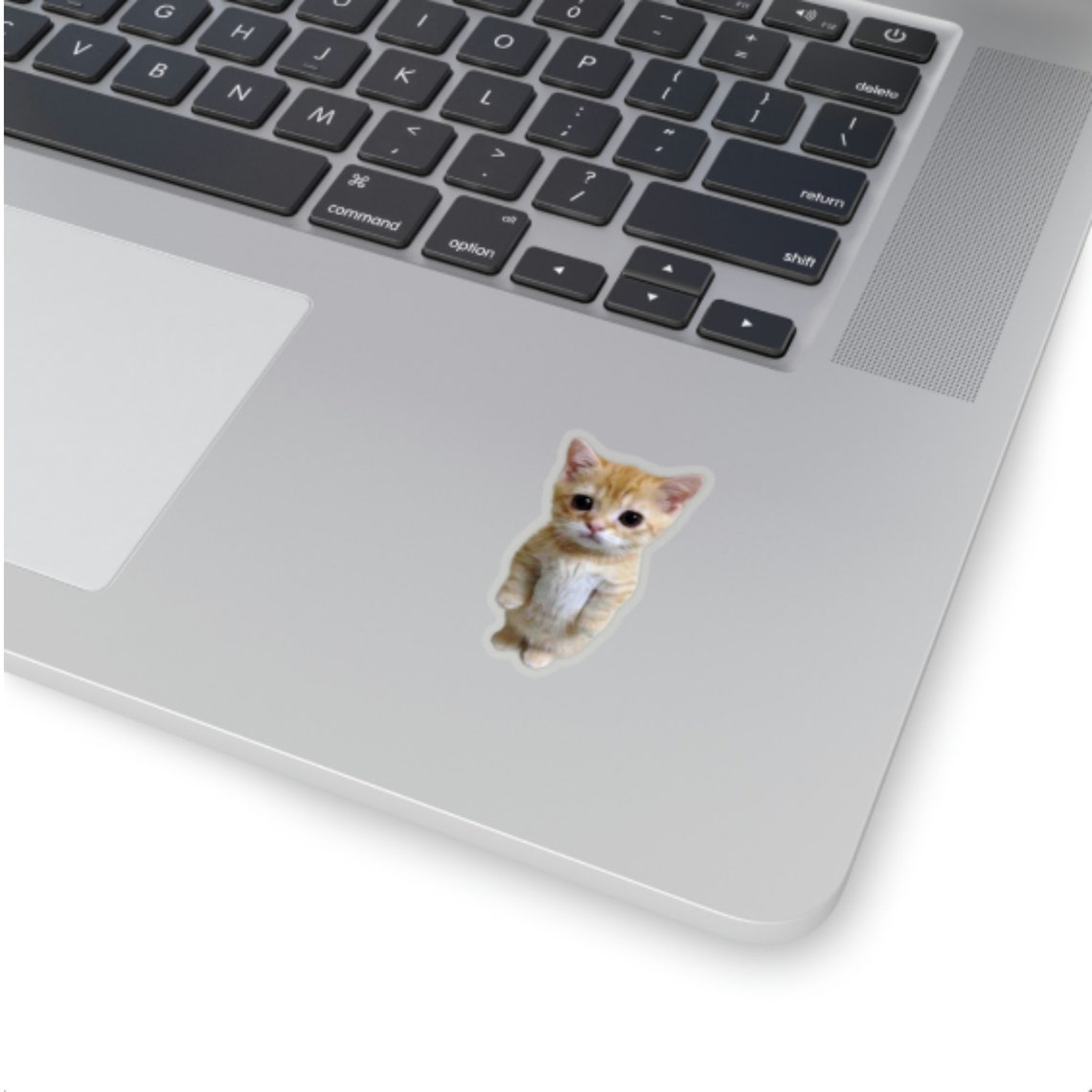 El Gato Sticker - Etsy