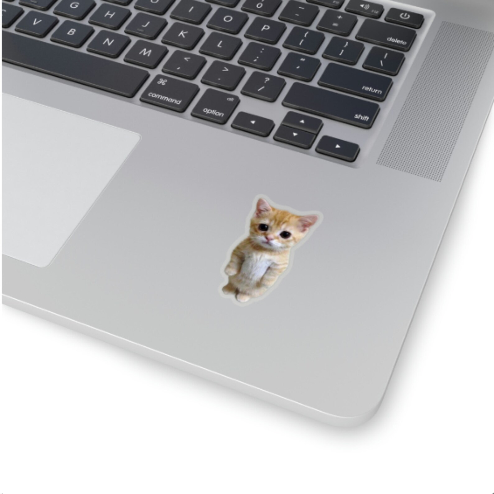 El Gato Sticker - Etsy