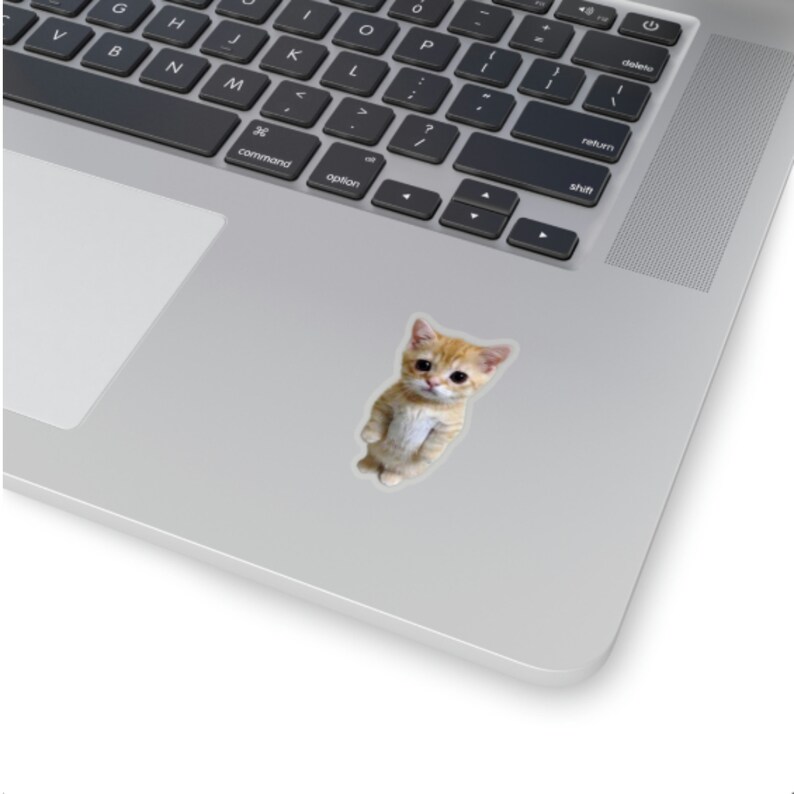 El Gato Sticker - Etsy