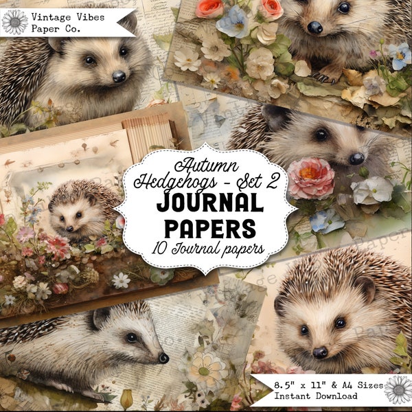 Hedgehog Journal - Etsy