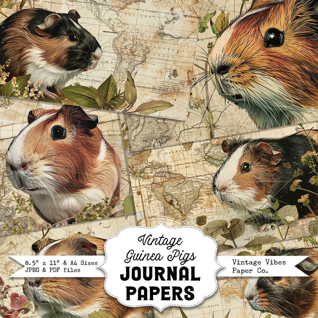 Junk Journal Vintage Guinea Pigs Printable Scrapbook Papers, Digital ...
