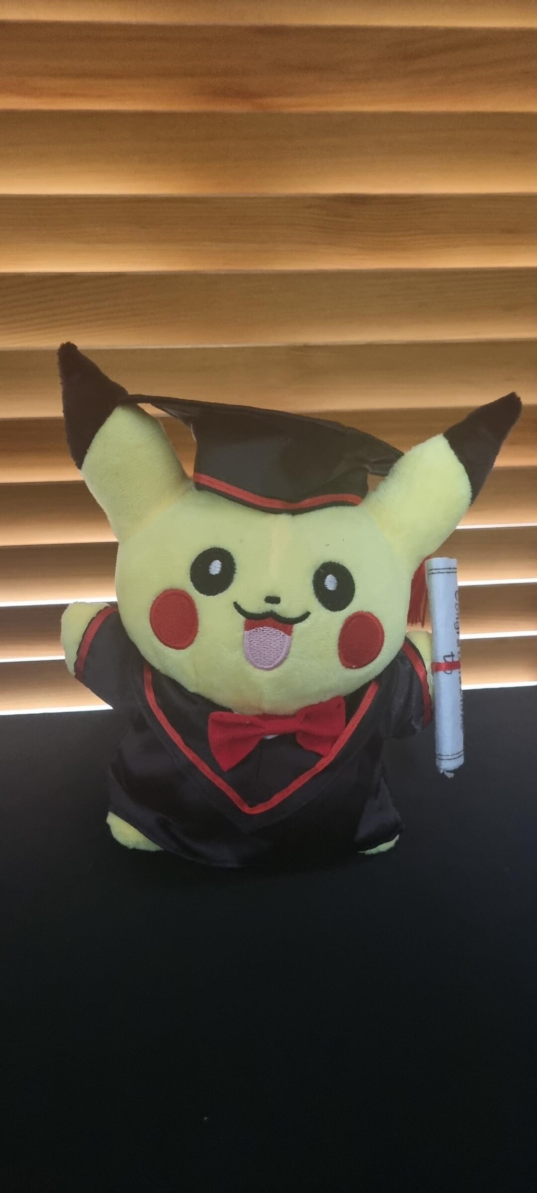 Graduation Pikachu Pokemon Plushie 18cm Personalised - Etsy