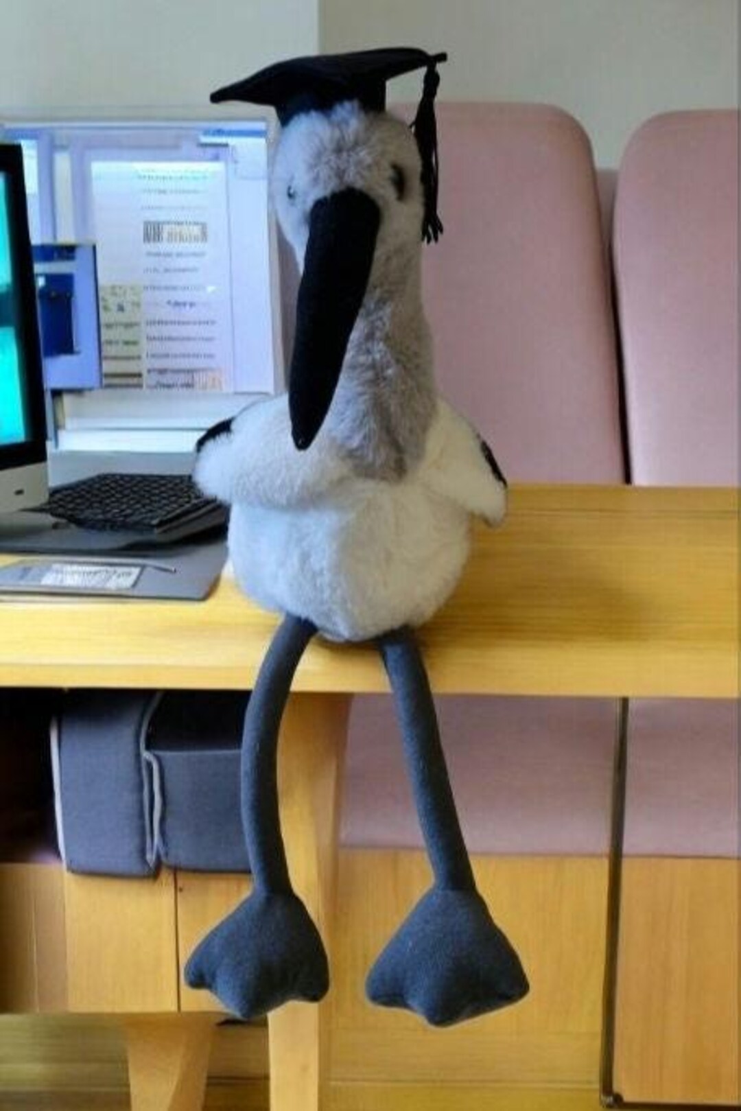Graduation Ibis Bin Chicken Personalised Graduation Gift - Etsy