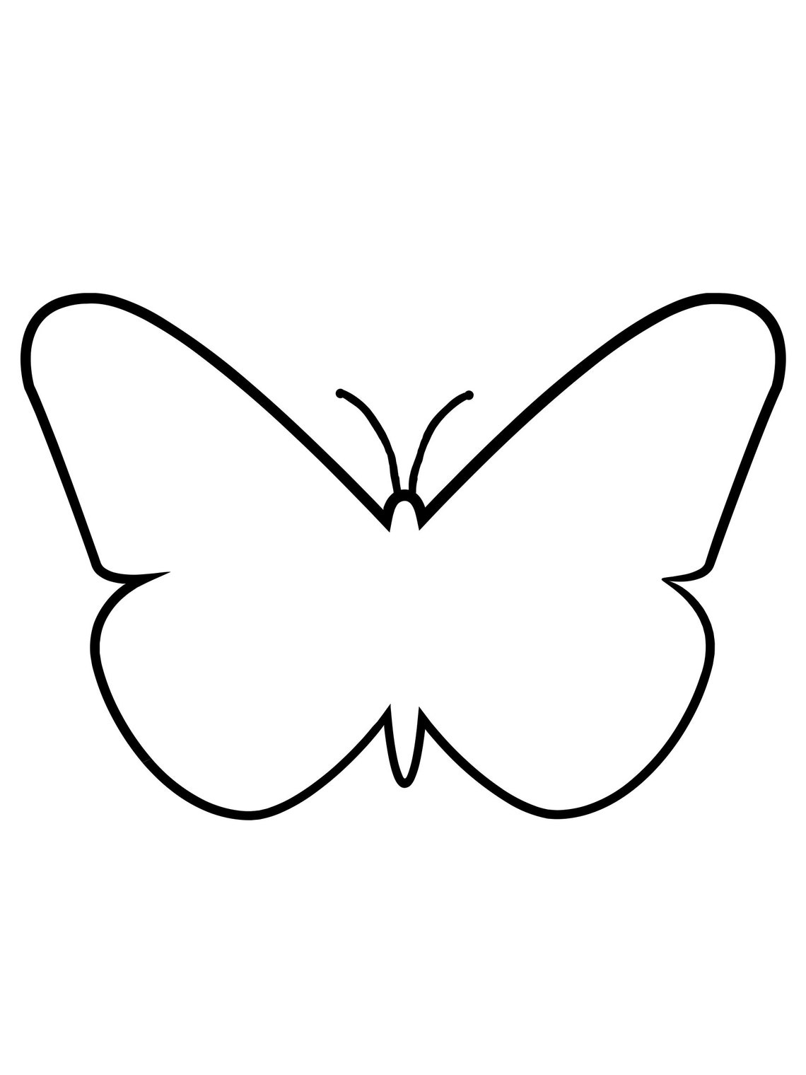 Butterfly Outline - Etsy