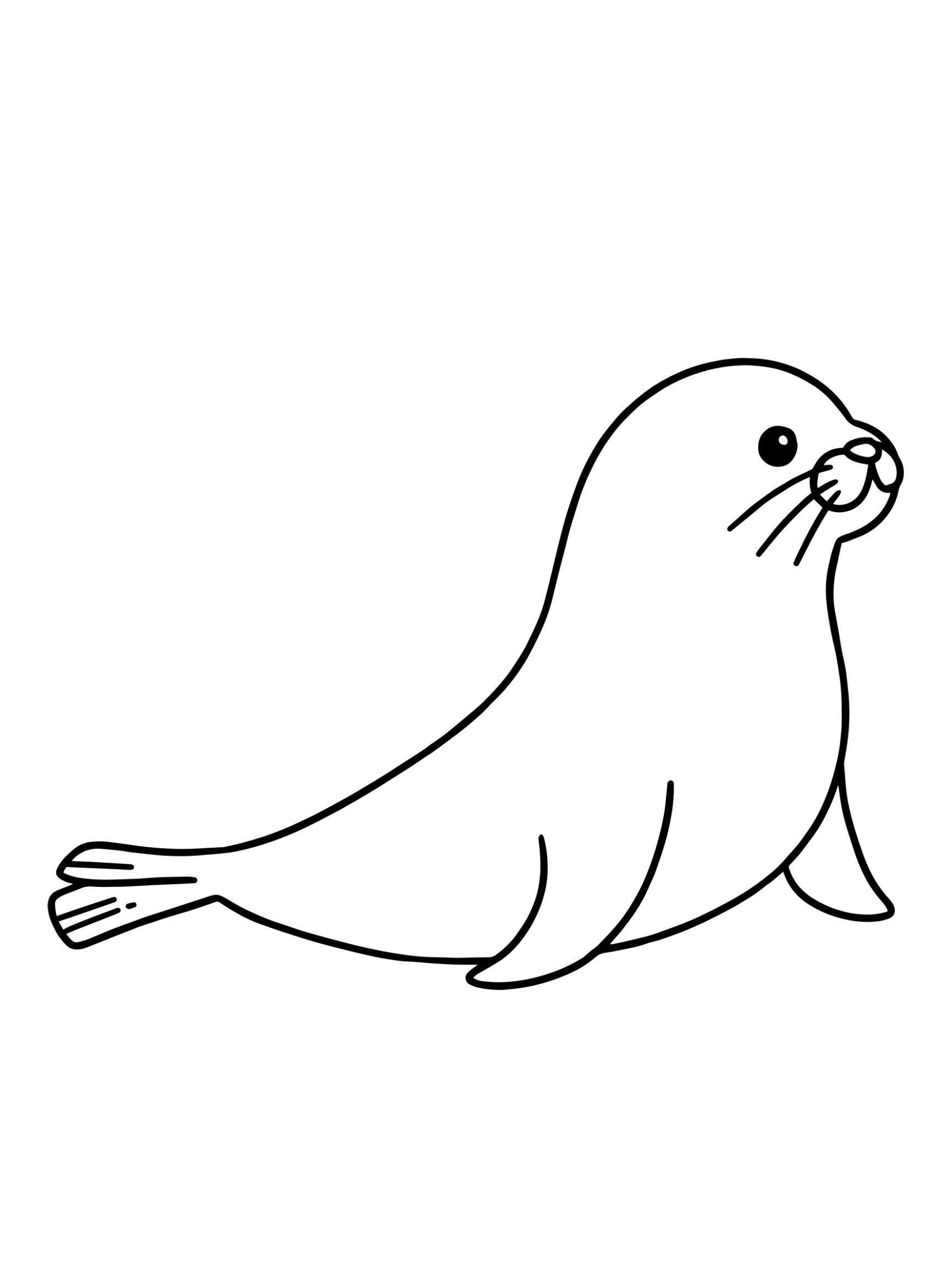Seal Coloring Page - Etsy