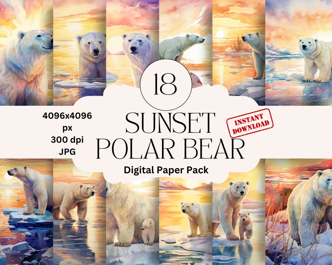 Polar Bear Digital Paper Set Junk Journal Paper Artic Printable Page ...