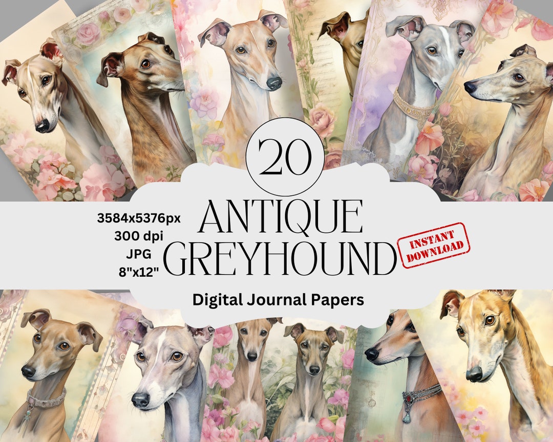 Antique Greyhound Journal Paper: Vintage Dog Scrapbook (digital ...