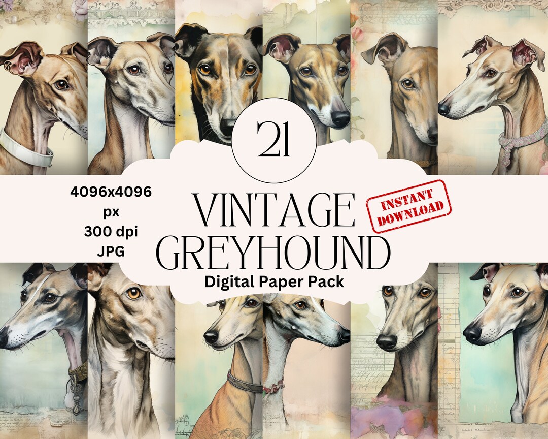 Greyhound Digital Paper Set Junk Journal Printable Digital Scrapbooking ...