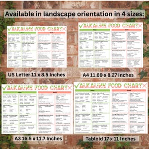 Alkaline Diet Food Chart Printable Healthy Eating Guide Foods to Eat and Avoid Digital Download ...