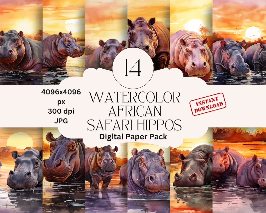African Safari Hippo Digital Paper Set Junk Journal Paper Printable ...