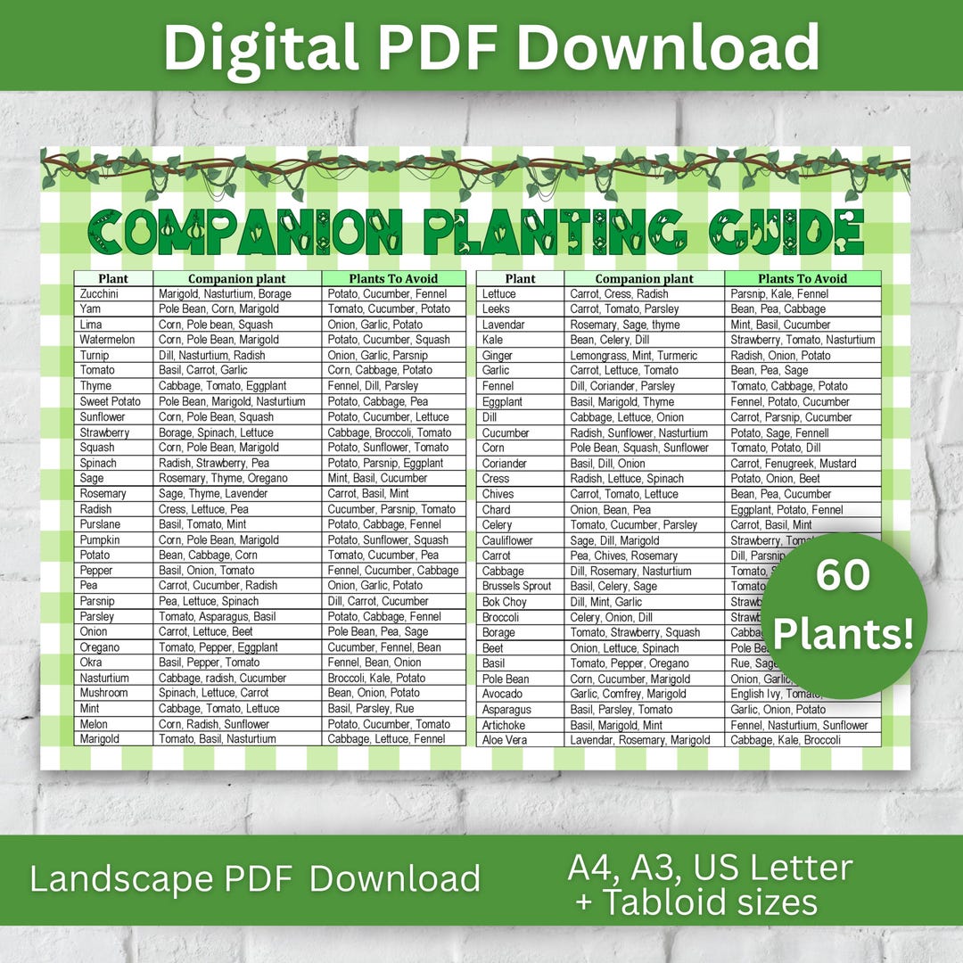 Companion Planting Guide Digital Landscape PDF US Garden Planner ...