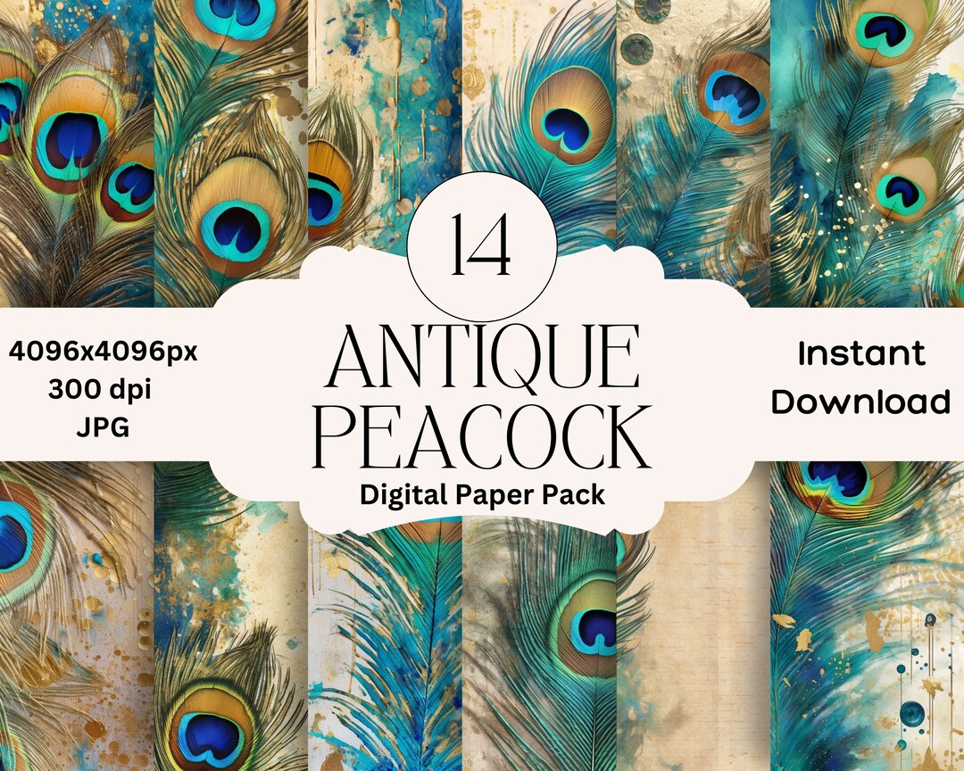 Peacock Feather Digital Paper: Gold Antique Scrapbook Graphics (digital ...