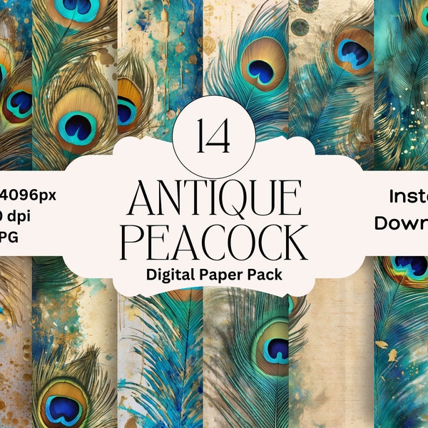 Peacock Papers - Etsy