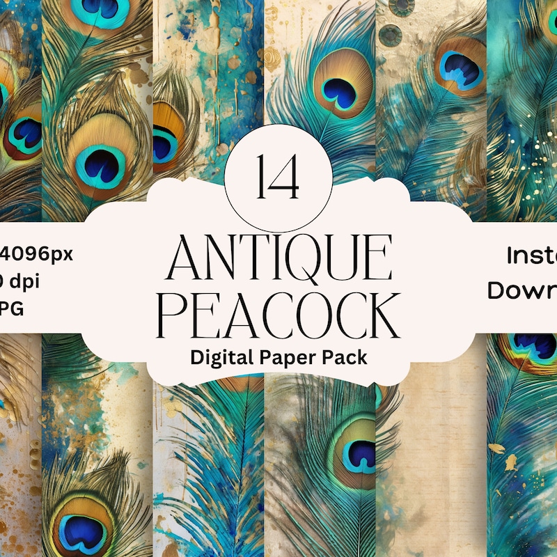 Peacock Papers - Etsy