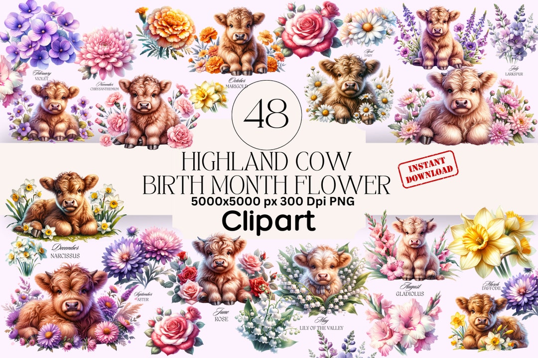 Highland Cow Birth Month Flower Clipart Bundle (PNG Instant Download ...