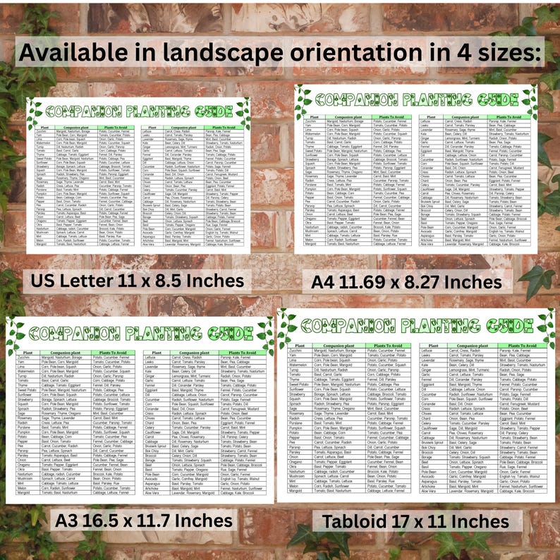 Companion Planting Guide Digital Landscape PDF US Garden Planner ...