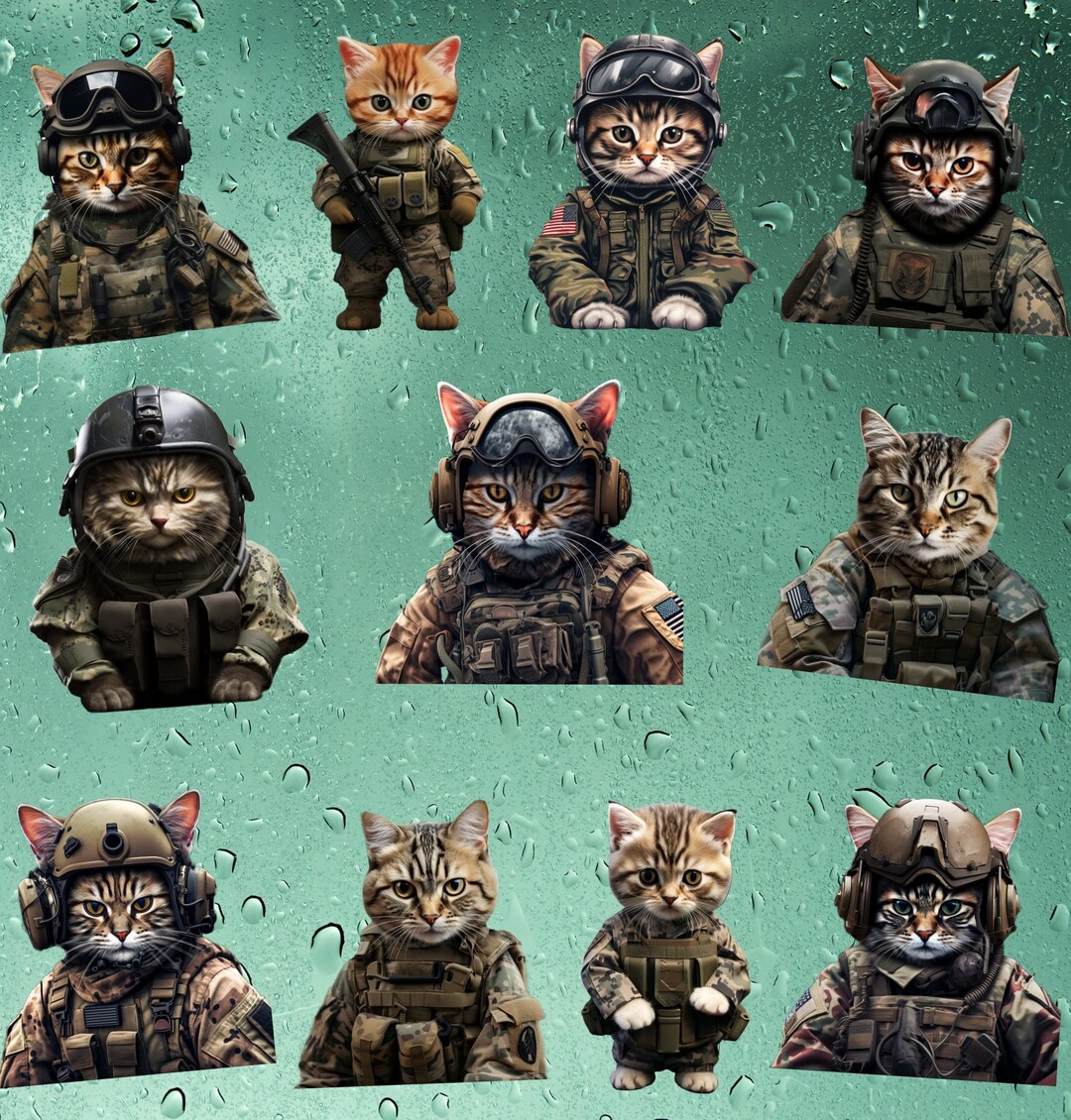 Combat Kitty Stickers, Laminated, Vinyl Stickers, Laptop Decal, Phone ...