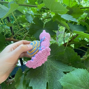 Snailed It! NO-SEW Crochet Amigurumi PDF Pattern, Chonky Snail With ...