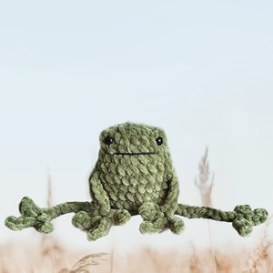 Pattern Fred the Frog a Leggy and Funny Frog With or Without a Sexy ...