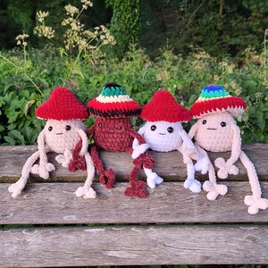 Mush Crush Crochet Pattern, Cute and Funny Mushroom Amigurumi, Inc ...