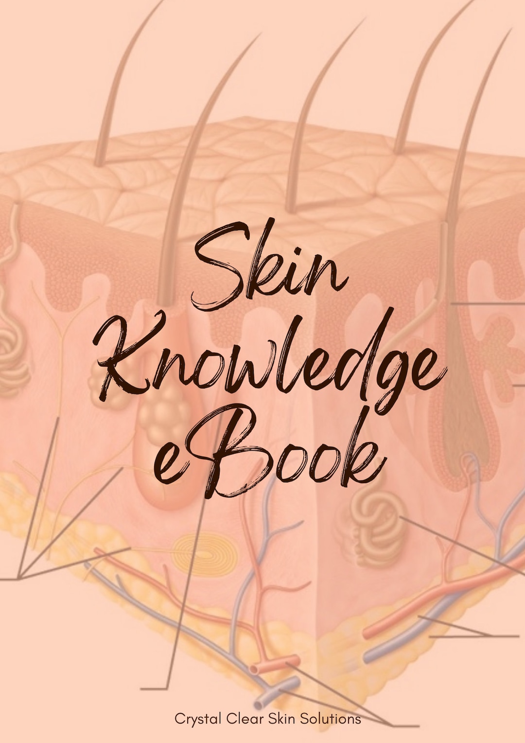 Ultimate Skin Manual | Skin Knowledge Ebook | Skin Anatomy & Physiology ...
