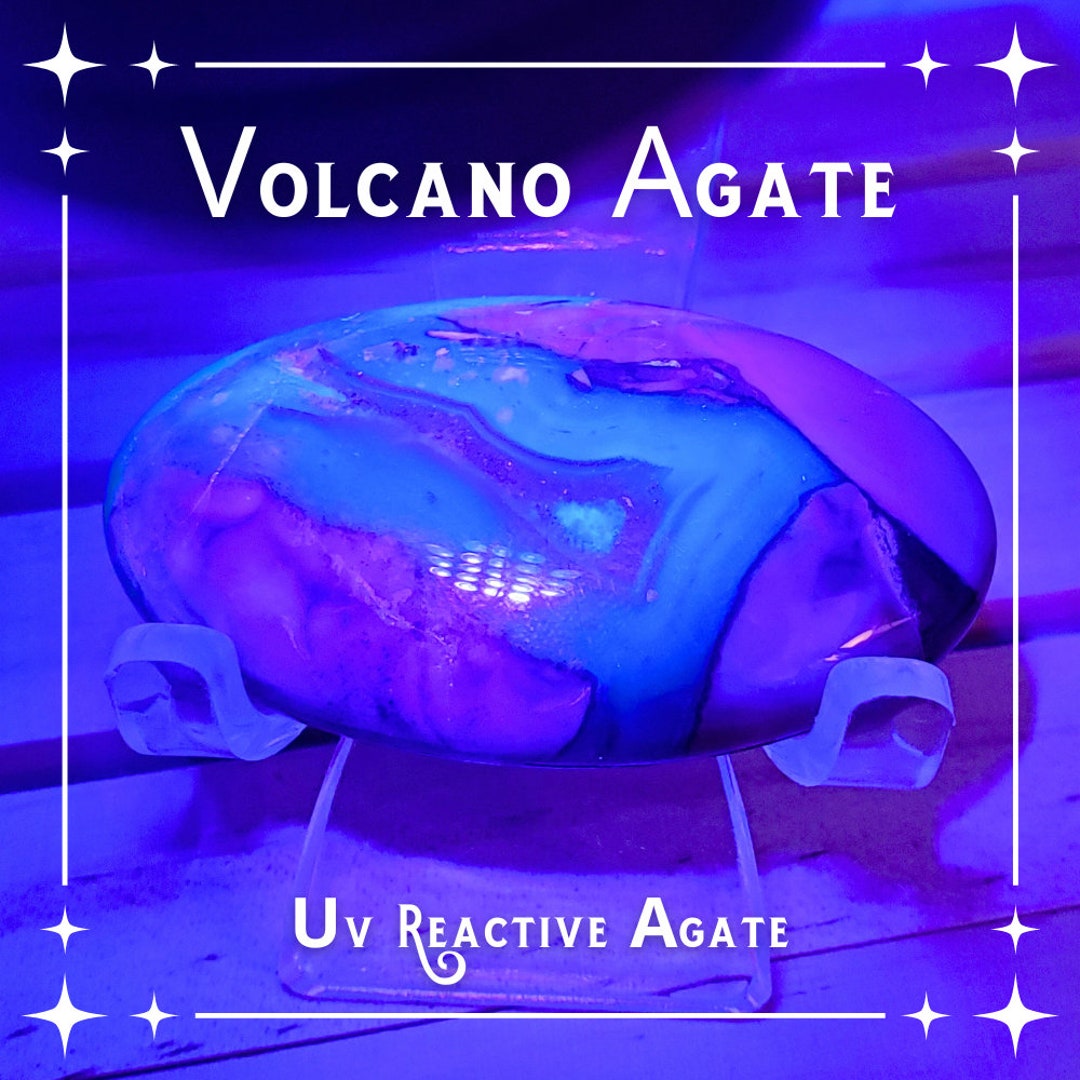 Volcano Agate Palm Stone - Etsy