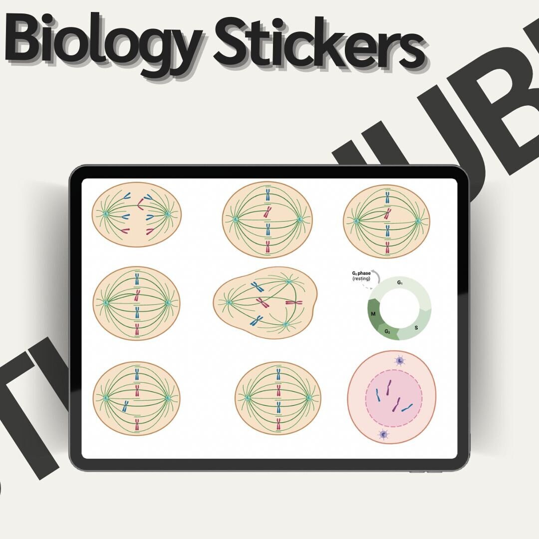 Vibrant Digital Biology Sticker Set - 5 Pages of General Biology ...