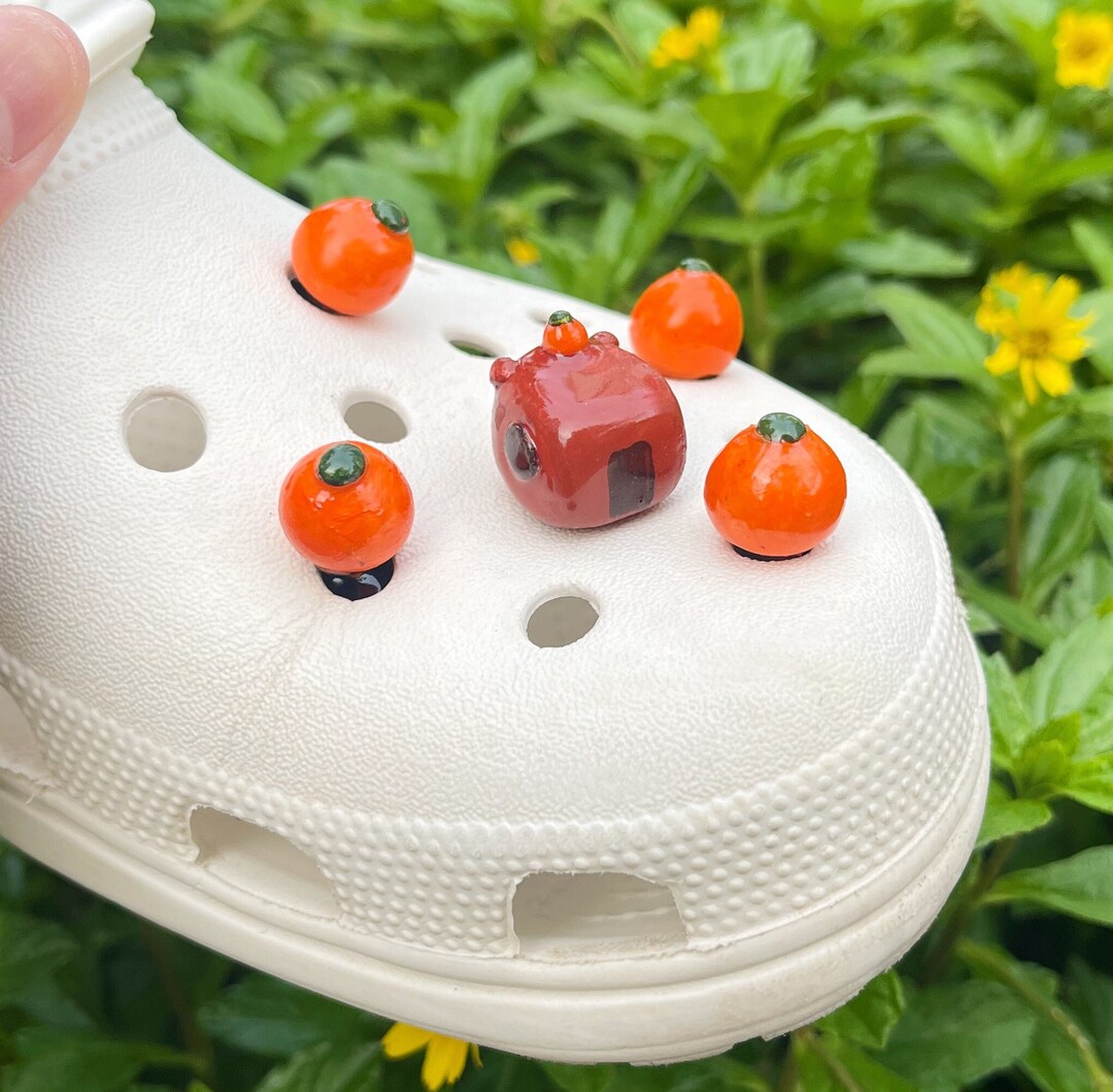 5 Pcs Croc Charm Set, Capybara Croc Charm, Capybara Gift Set, Capybara ...