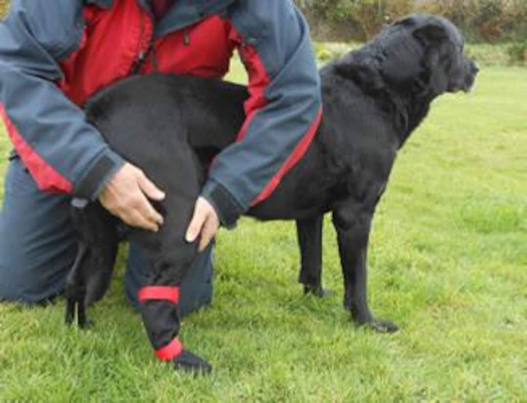 Dog Boots for Disabled Dogs, Dragging Paws or Missing Paws, CDRM - Etsy