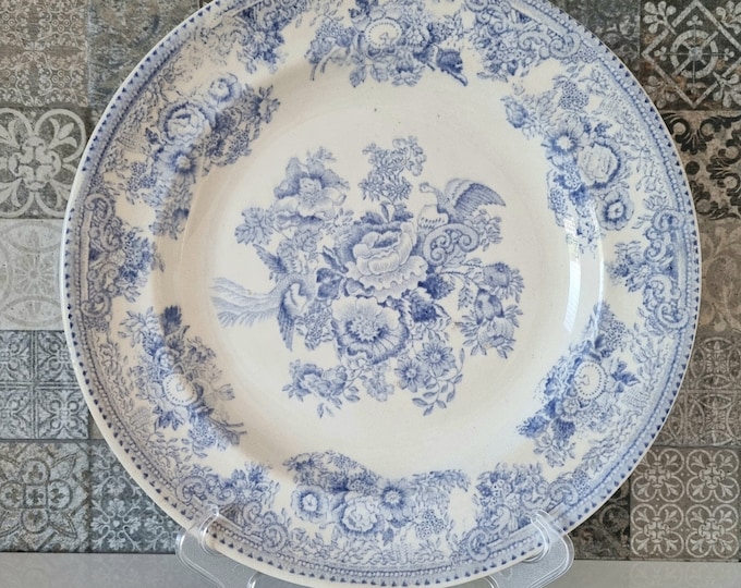 Antique Asiatic Pheasant Ironstone Pale Blue and White China Plate ...