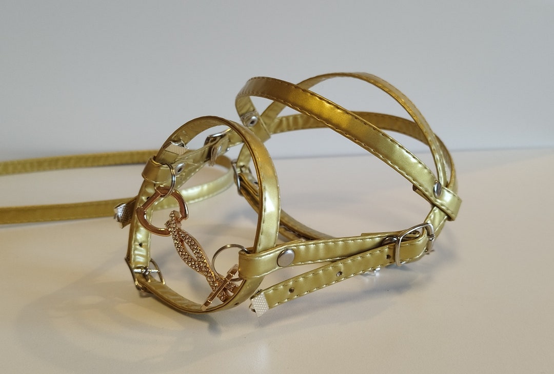 Snaffle Bridle, Reins for Hobby Horse Gold Gloss for Hobby Horse Hh ...